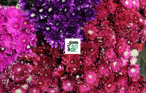Artiflora – Floreria