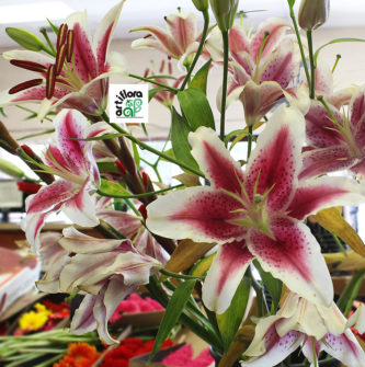 Artiflora – Floreria