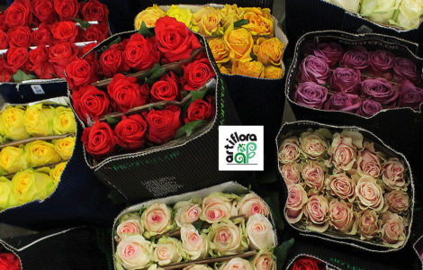 Artiflora – Floreria