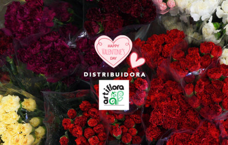 Artiflora – Floreria