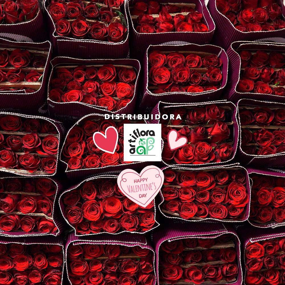 Artiflora – Floreria