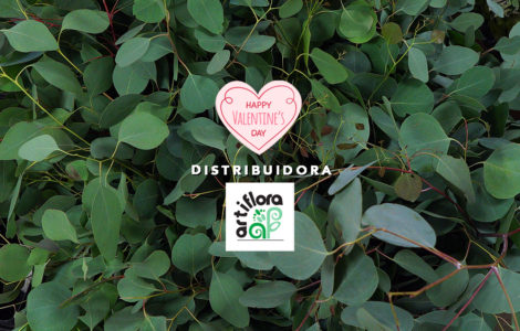 Artiflora – Floreria