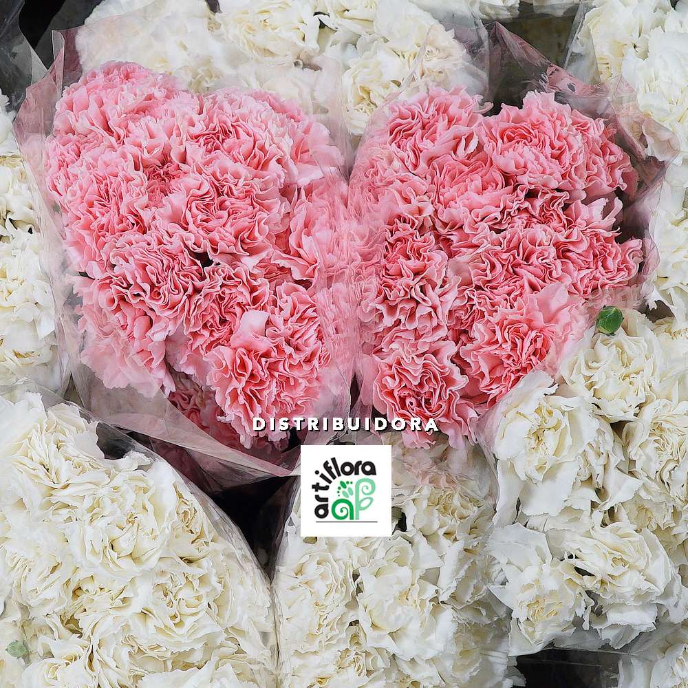 Artiflora – Floreria