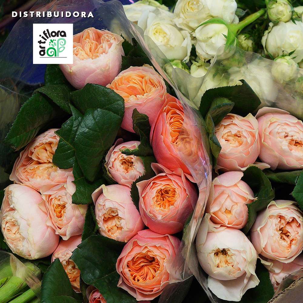 Artiflora – Floreria