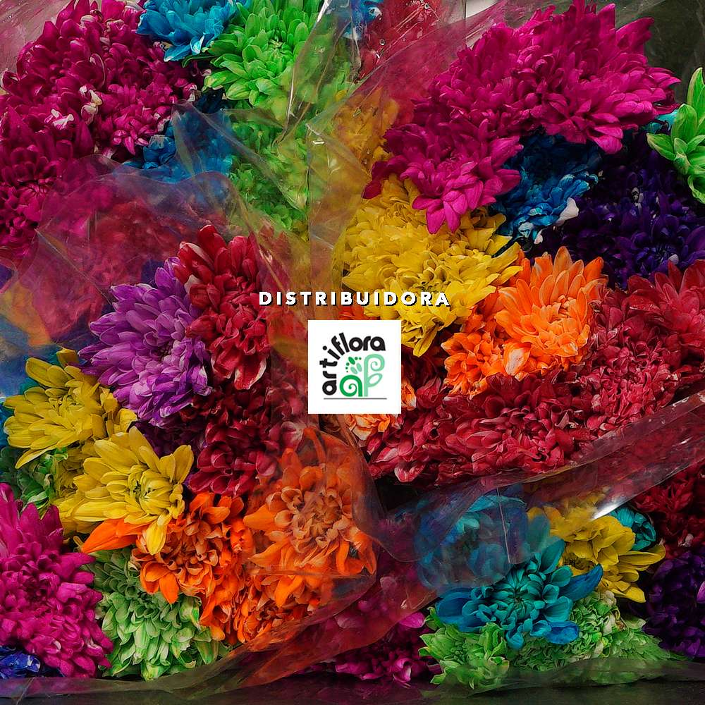 Artiflora – Floreria