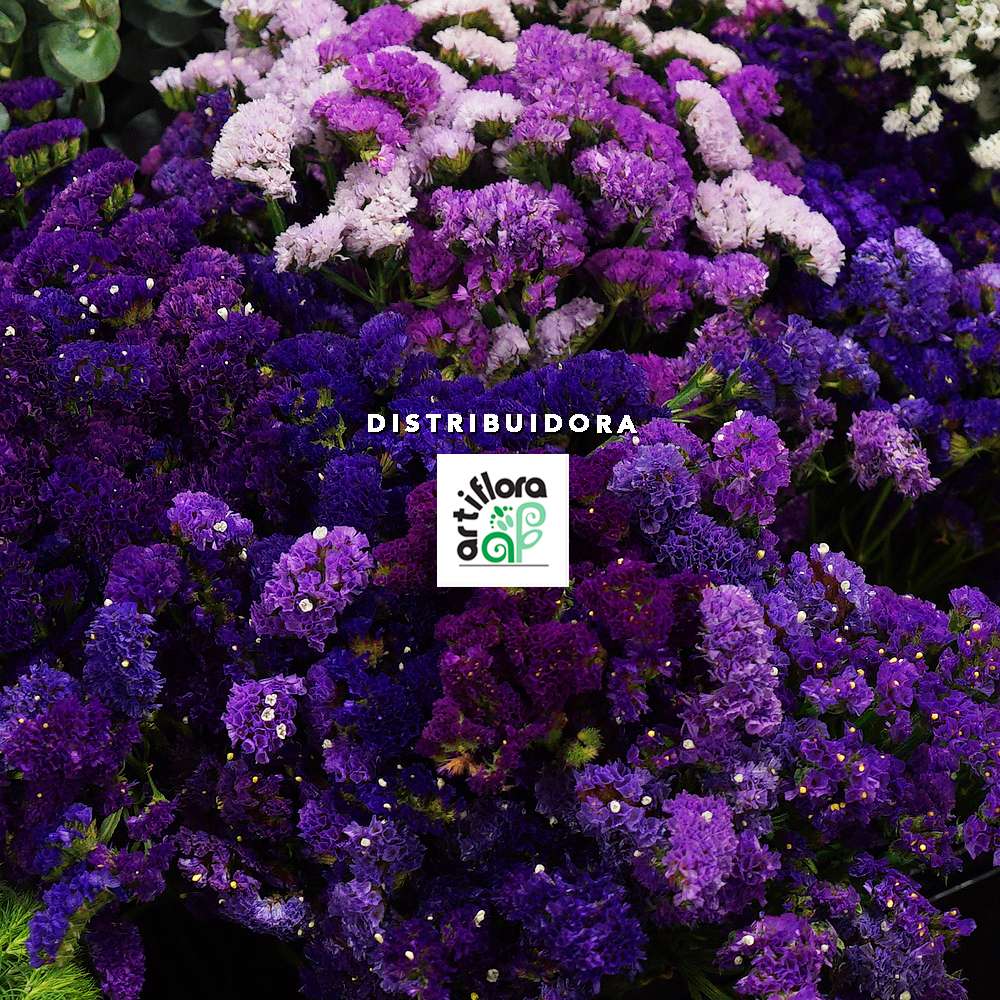Artiflora – Floreria